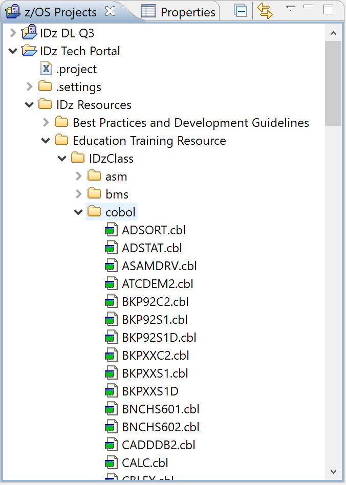 Enable Persistent Hexadecimal Editing Capabilities In A COBOL Language specific Editor IBM 